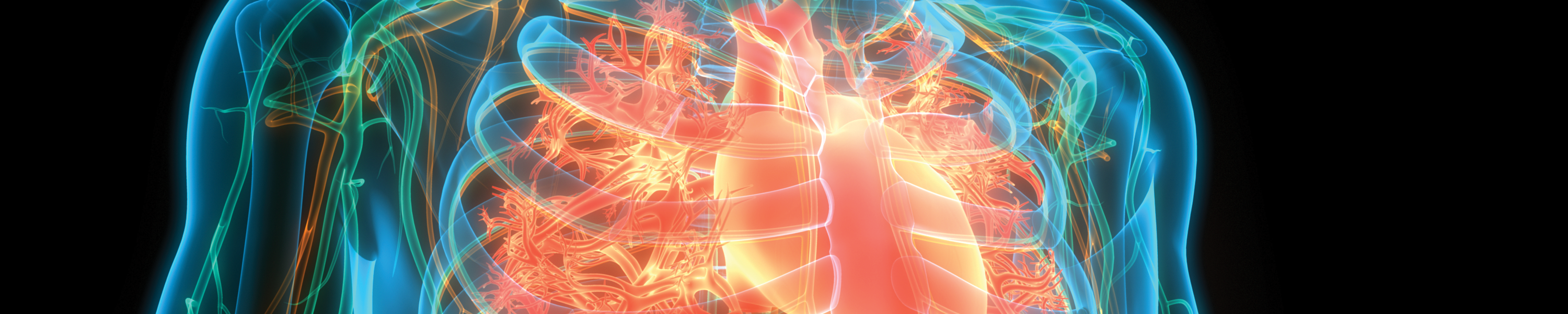12th Annual Interventional Cardiology Symposium - Yale Continuing ...
